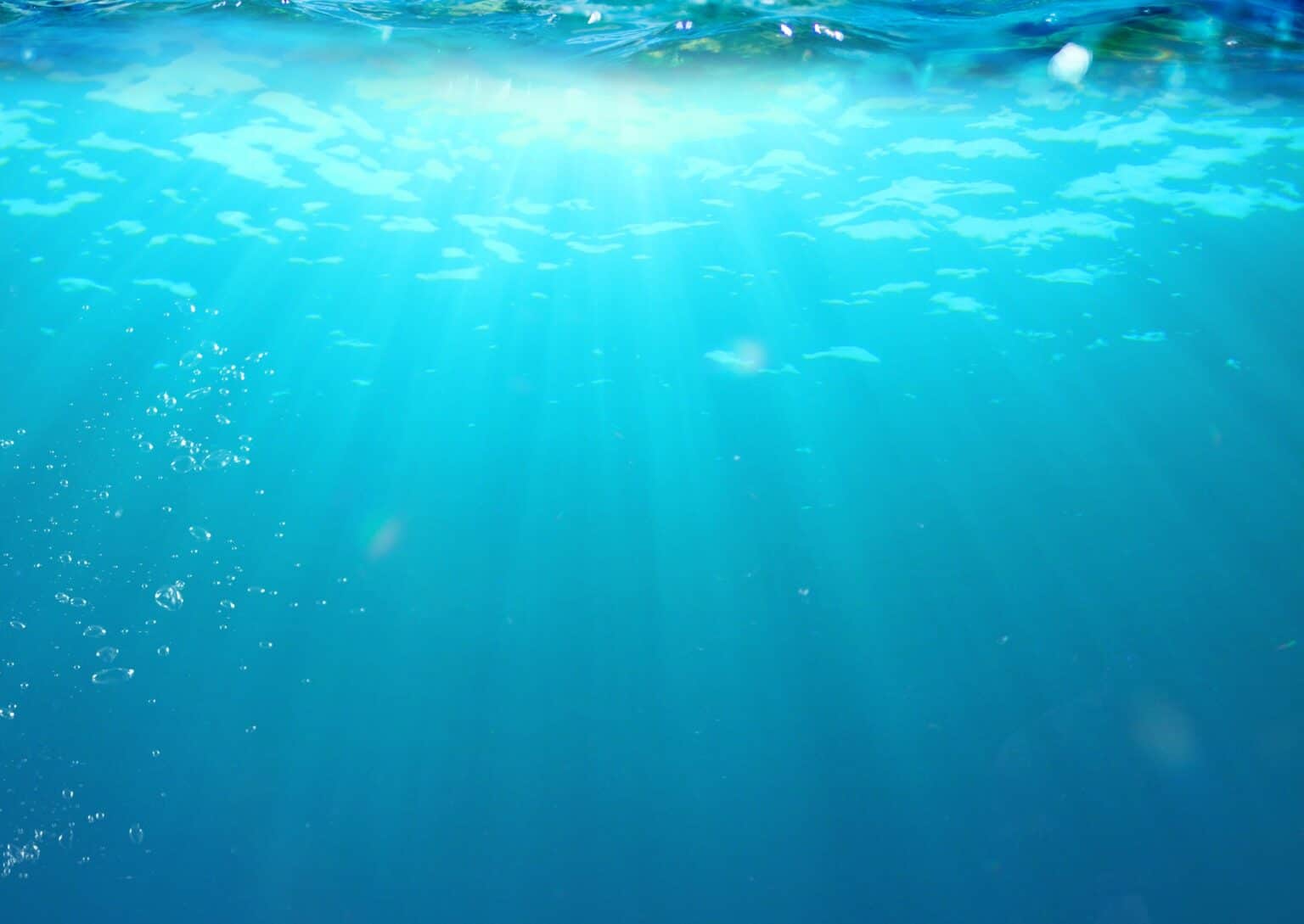 TH - Ingredients - Kelly Cream